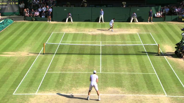 Terrain De Tennis En Gazon